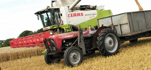 Agriculture | Runways Farm